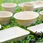 Universal Biopack Eliminates Waste Problem Using Bamboo Packaging in ...