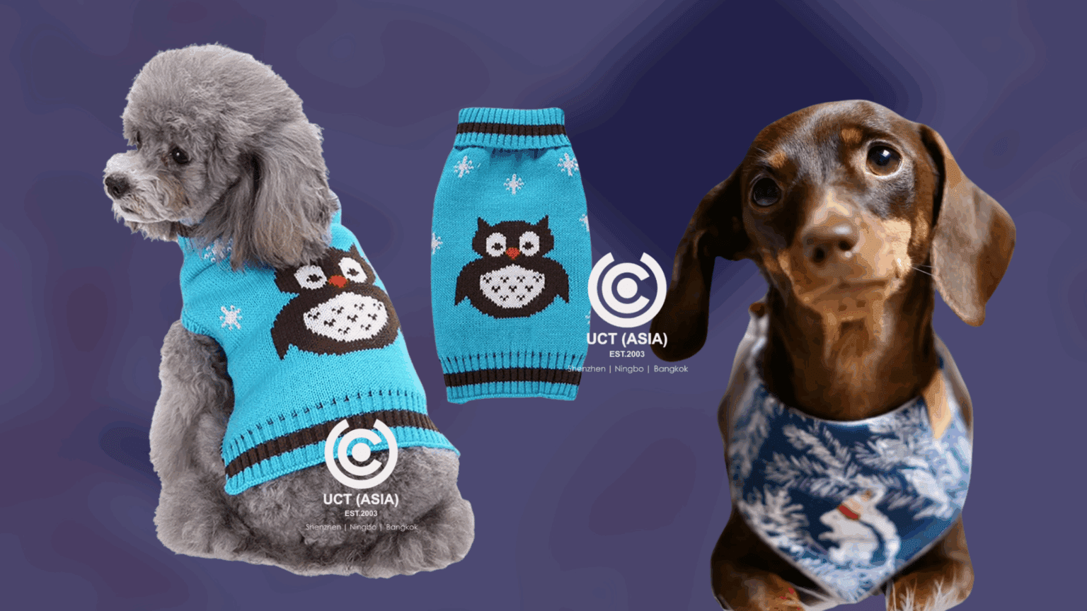 Custom Promotional Gifts for Pet Lovers: Ideas for Pet Brand Loyalty - UCT (Asia)